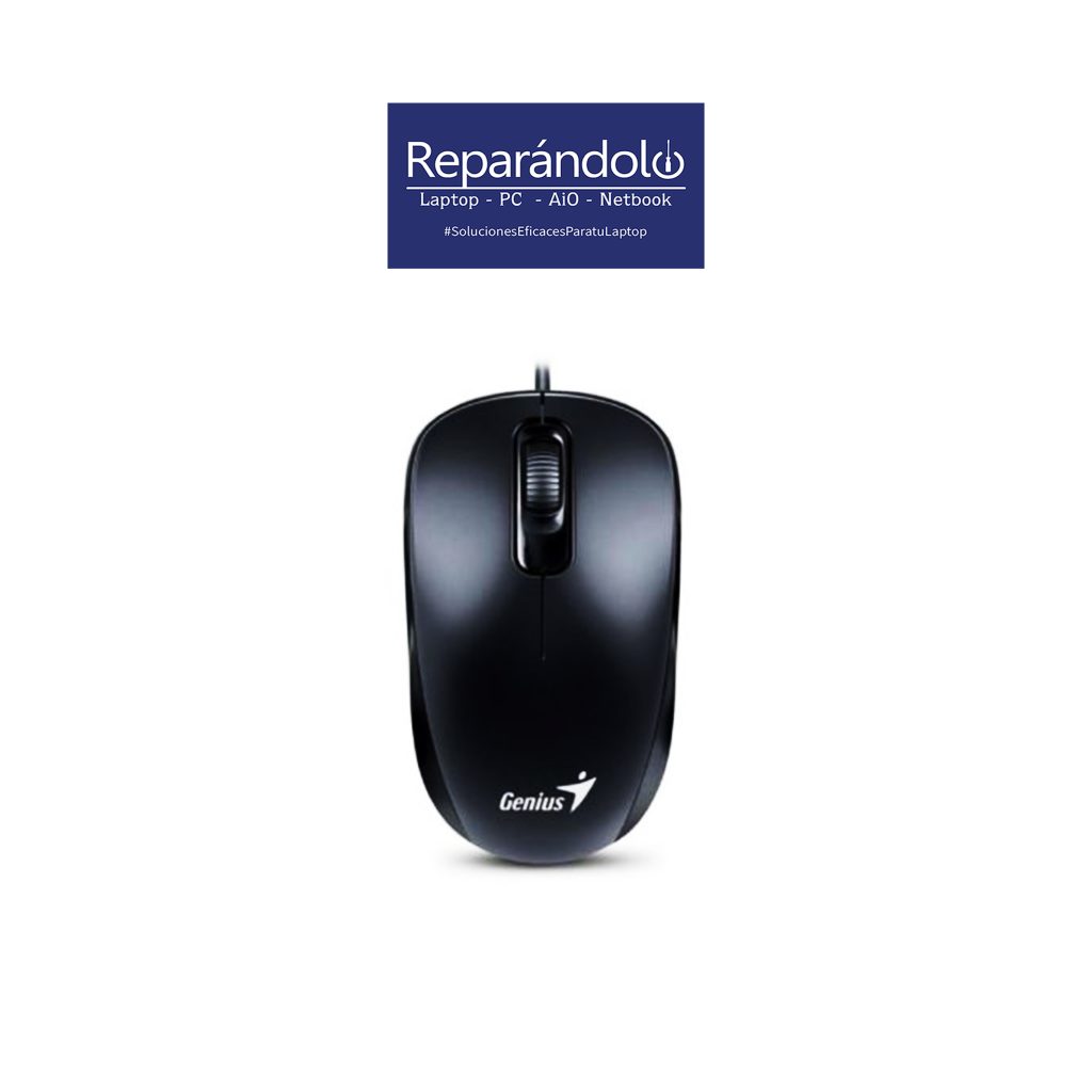 MOUSE GENIUS DX-110 USB Negro G5